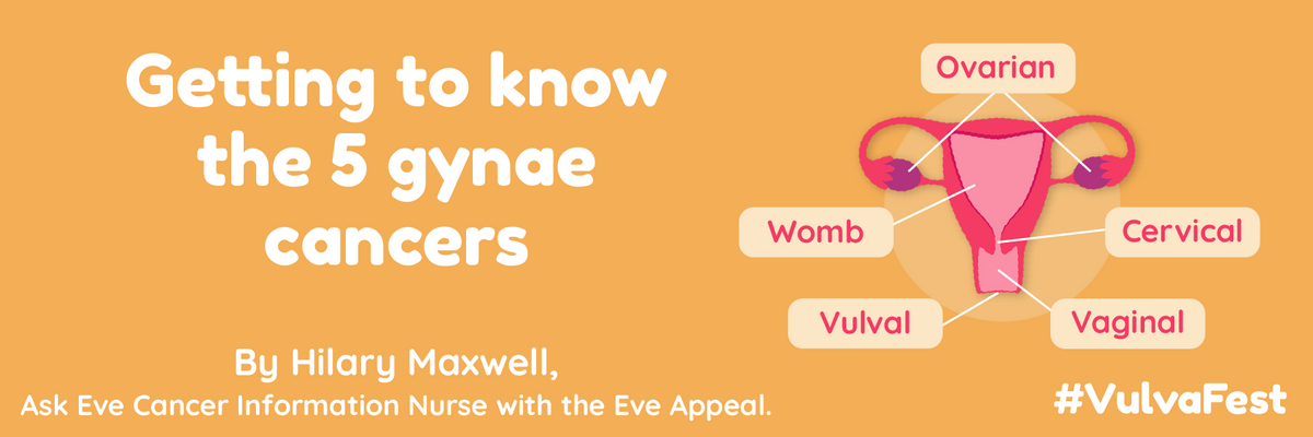 Getting to know the 5 Gynae cancers | Molke